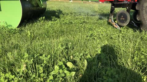 Bodenverdichtungen im Grünland lockern? | Elite Magazin